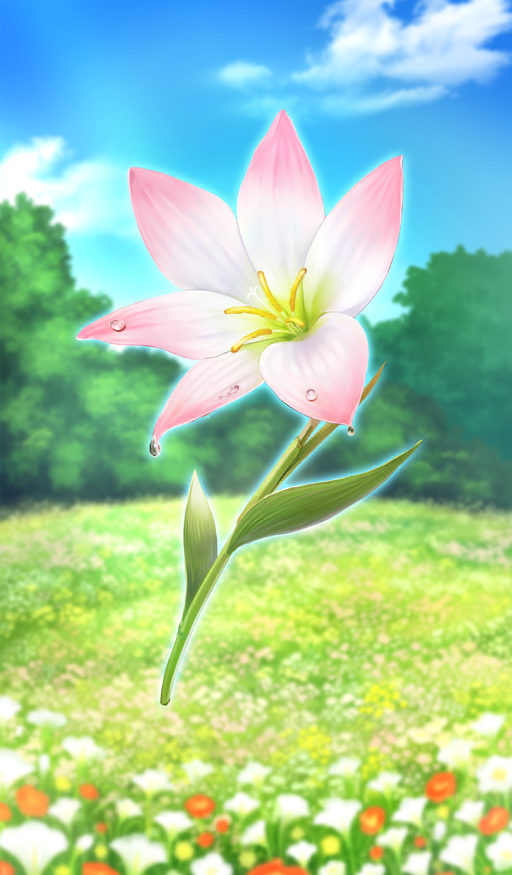 Beautiful Yet Short-Lived Flower | Craft Essences - Fate/Grand Order ...