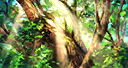 Yggdrasil Tree | Craft Essences - Fate/Grand Order Wiki - GamePress