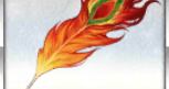 Phoenix Feather | Materials - Fate/Grand Order Wiki - GamePress