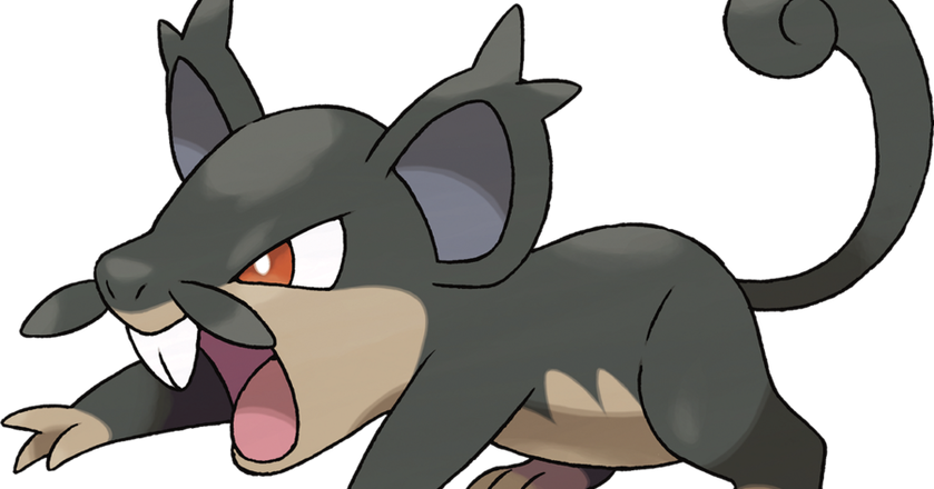 Rattata store